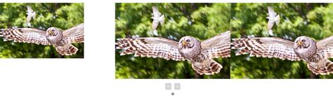 adding item to owl carousel using javascript break the ui v2 0 4 stack overflow