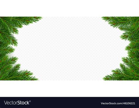 Pine Tree Branch Border Green Fir Twigs Frame Vector Image