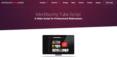 The Best Adult Tube Scripts According To Experts