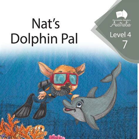 Main Fiction Level 4 Big Books Decodable Readers Australia
