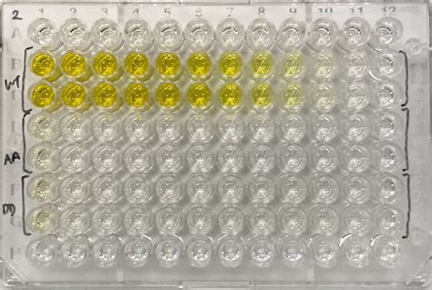 Fitting Elisa Data With R Jonathan Davies Fitting Elisa Data With R Jonathan Davies