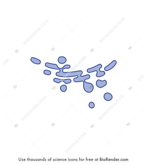Free Smooth Endoplasmic Reticulum D Budding Icons Symbols Images BioRender