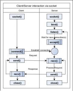 Python Socket How To Connect Tcp Client To Server Codeloop