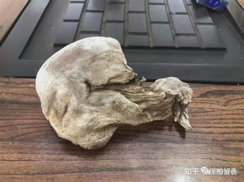 崖柏有什么功效和作用医学和心里学分析 知乎