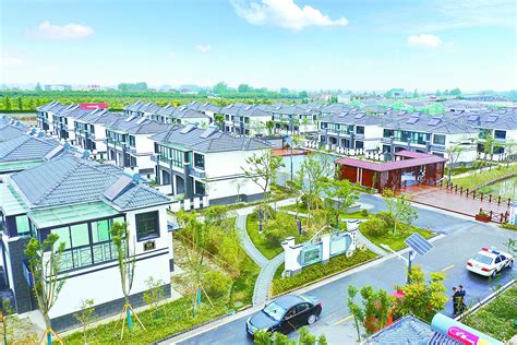 江苏大丰：发展“甜蜜”产业 助力乡村振兴 盐城新闻网
