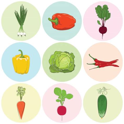 30 Chilaca Ilustrasi Grafik Vektor And Clip Art Bebas Royalti Terbaik