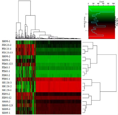 Hierachical Clustering Of Differentially Expressed Genes Download