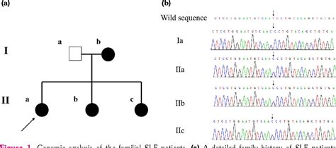 Figure 1 From Identification Of A Novel Mutation In Complement Receptor