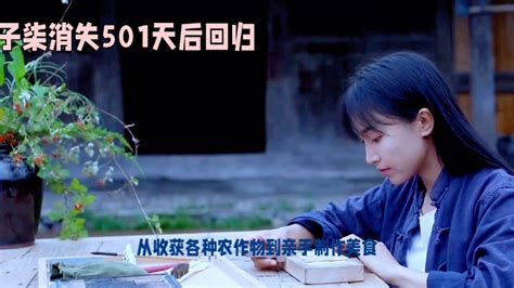 消失了501天的李子柒回归了高清1080p在线观看平台腾讯视频