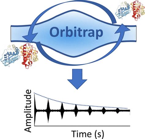 Expanding Orbitrap Collision Cross Section Measurements To Native Protein Applications Through