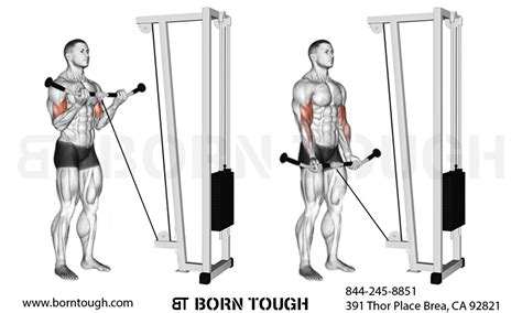 Rope Curl