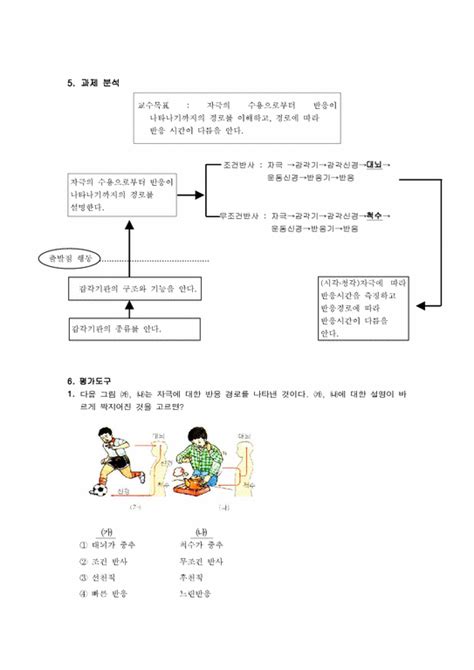 교육공학 자극과 반응 과학 수업지도안 인문 교육
