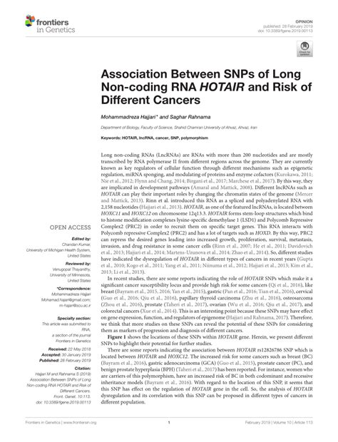 Pdf Association Between Snps Of Long Non Coding Rna Hotair And Risk