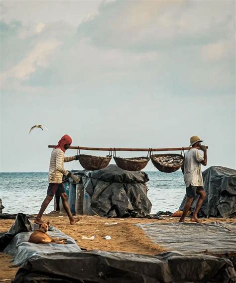 Lankaenews “අධි ආරක්ෂිත ගැසට්ටුව මගේ පස්ස පැත්තේ ගහන්න” ජනාධිපතිකාරයා නීතිපතිට කියයි දි