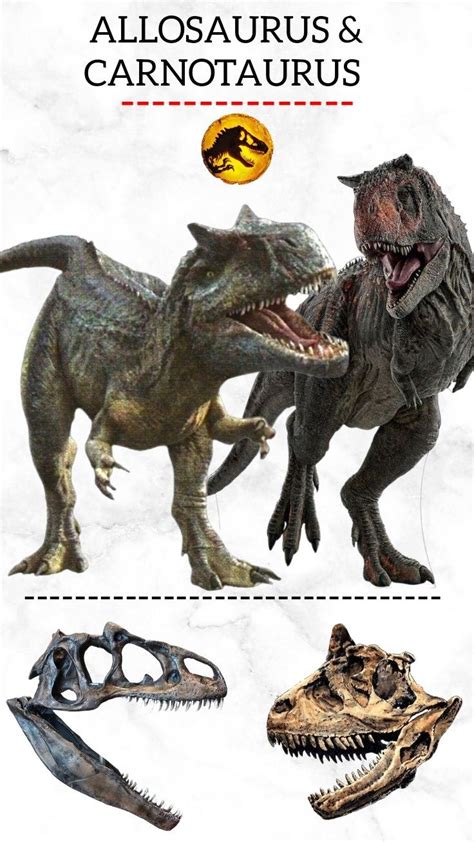 Carnotaurus Vs Baryonyx Dinosaurs Battle Jurassic