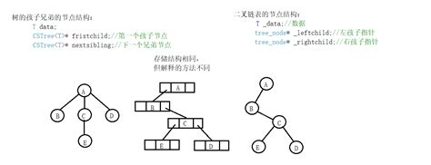 C数据结构：树（概念二）树和森林孩子兄弟表示法的优点 Csdn博客