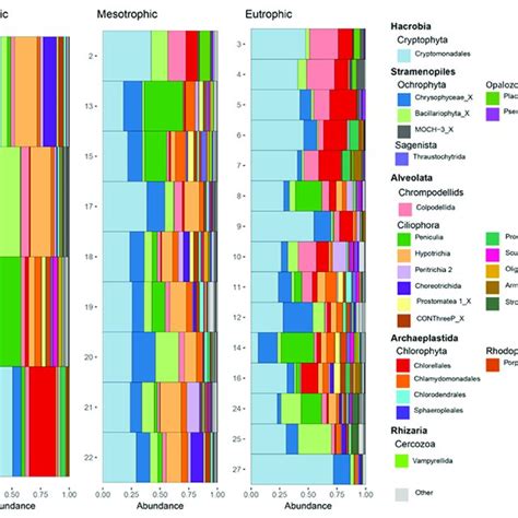 Relative Abundance Bar Plot Of Functional Groups In Protists