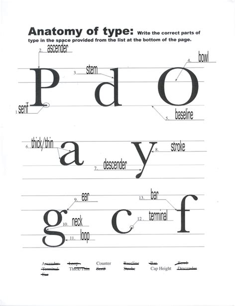 Typography Worksheet 49685