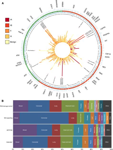 Mutational Landscape Of Actionable Mutations And Pathways In The Cancer Download Scientific