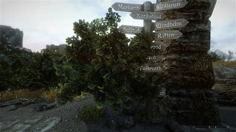 Solved Which Mod Adds These Bushes Trees Skyrim Technical Support LoversLab
