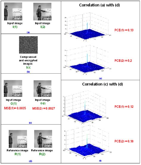 Simulation Results Download Scientific Diagram