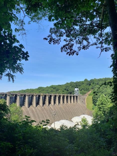 Premium Photo Water Conservation Trees And Plants Against Sky