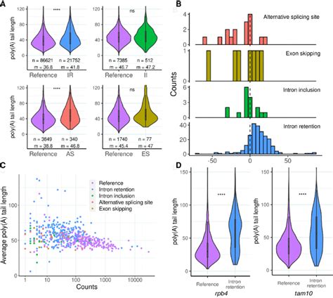 Polya Length In Alternative Transcript Isoforms A Distribution Of