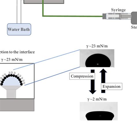 3 A Schematic Diagram Of The Constrained Sessile Drop Surfactometer Download Scientific