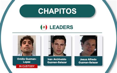 Chapitos Prohíben Fentanilo Exagente De La Dea Duda De Esta Amenaza