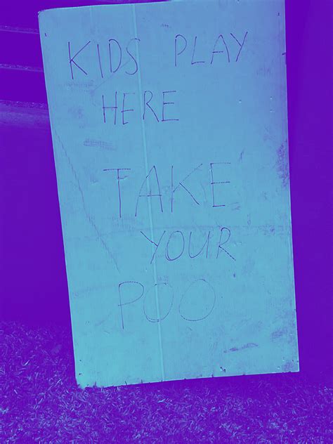 On My Walk I Saw Rbrisbane