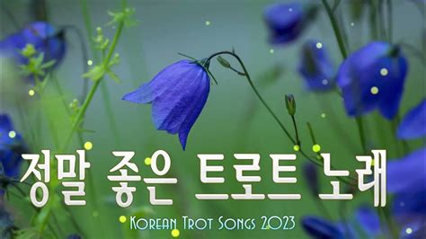 광고없는 신나는 트로트 메들리 1시간 🌻 매일 들어도 좋은 노래 모음 아줌마 아저씨 신나는 트로트 메들리 Youtube