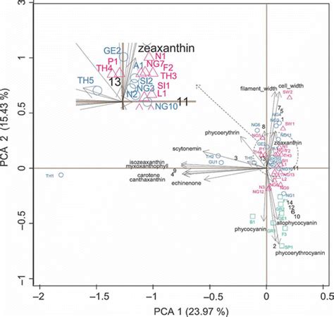 Full Article Chemosystematic Evaluation Of The Genus Scytonema
