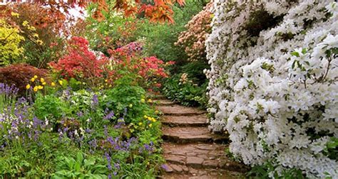 شعر فصل بهار مهد کودک ، شعر کودکانه بهار بهار بهاره فصل بهار کودکانه