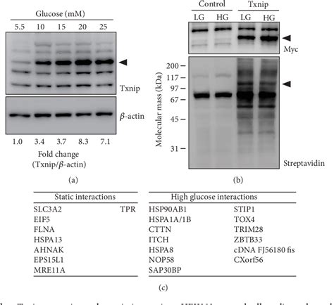 Figure 4 From Identification Of Redox And Glucose Dependent Txnip