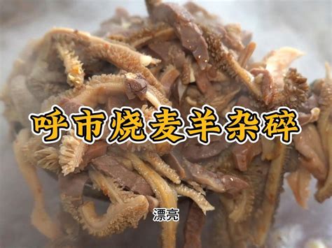 呼市烧麦羊杂碎 海吃王 海吃王 哔哩哔哩视频