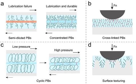 中科院兰州化学物理研究所周峰研究员团队Langmuir 剪切稳定的聚合物刷表面 X MOL资讯