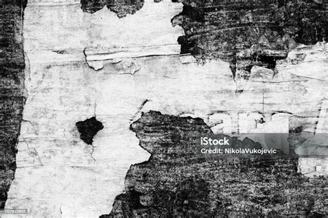 빈 흰색 검은 오래 된 찢어진된 찢어진된 종이 구겨진 주름 잡은 포스터 그런 지 질감 배경 배경 현수막 잘려지거나 찢어진 종이에 대한 스톡 사진 및 기타 이미지 Istock