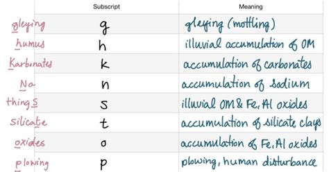 Module 1 Classification Flashcards Quizlet
