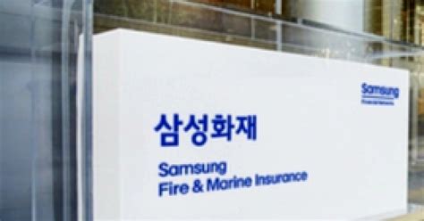 삼성금융 보험사 하반기에도 형보다 아우…삼성화재가 생명 앞지르나