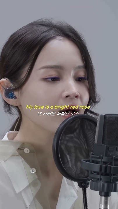 매력적인 보이스 이하이 Rose Shorts Playlist Live Youtube