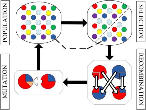 Genetic Algorithm Operators Download Scientific Diagram