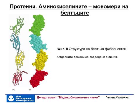 5 3 Химичен състав на клетката Белтъци и нуклеинови киселини