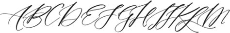 isadora script otf 400 font what font is