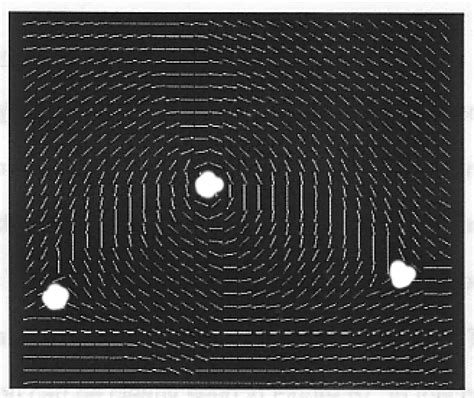 Figure 1 From Unsupervised Fingerprint Classification With Directional