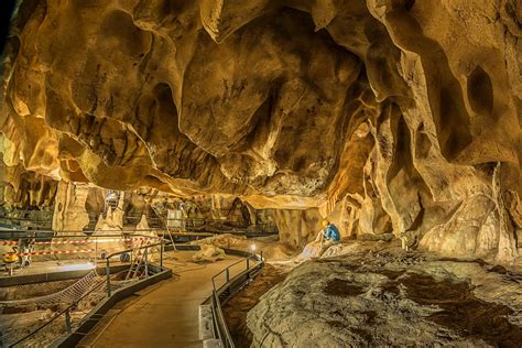 The Hidden Gallery Of Chauvet Cave A Timeless Masterpiece Of Ancient