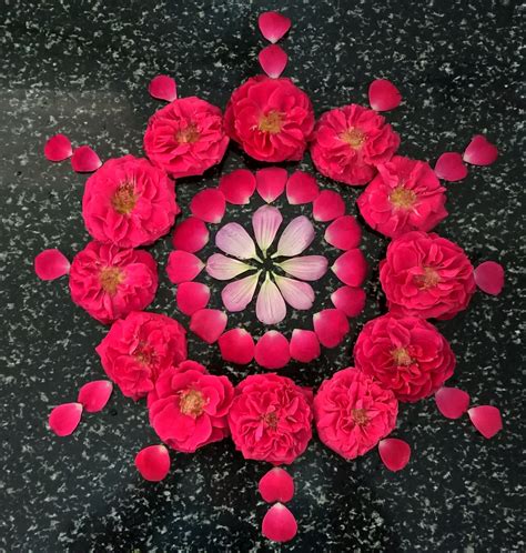 Design Floral Flower Petals Rangoli Images