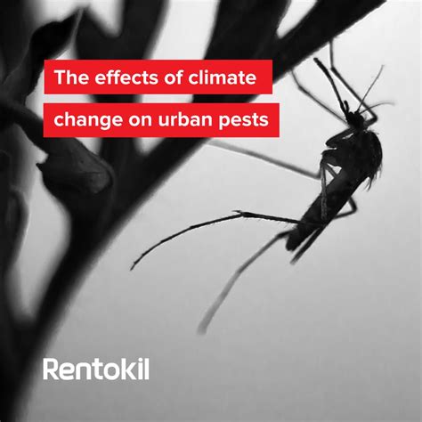 mohd arif m posted on linkedin