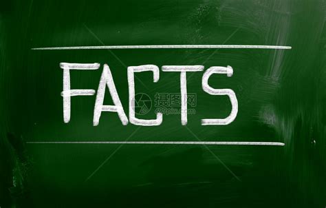 事实概念插画图片下载 正版图片402248162 摄图网