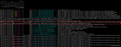 Nacos报错 username nacos bodyMap password nacos errorMsg errCode