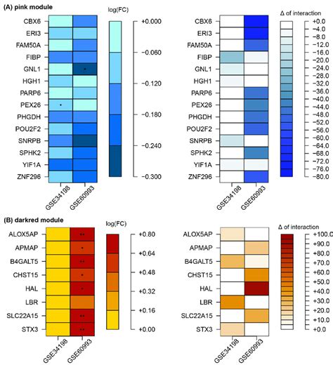 Representative ACS Related Genes In The Pink A And Dark Red B Download Scientific Diagram